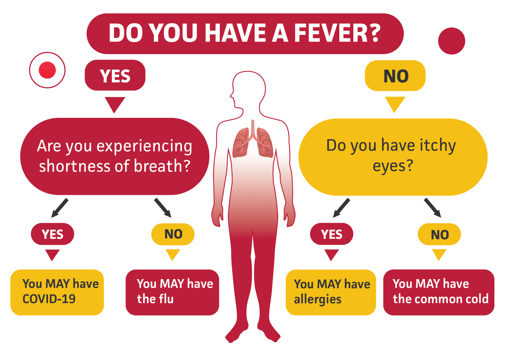 Respiratory Hub | Respiratory Health Information | Bonitas